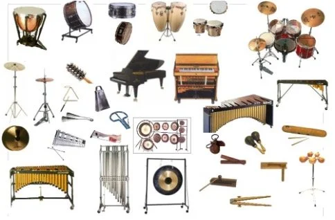 Instruments of the Orchestra — Skagit Symphony