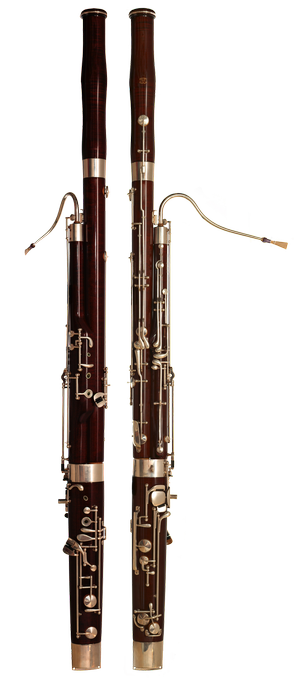 Who Plays in the Orchestra? — Skagit Symphony