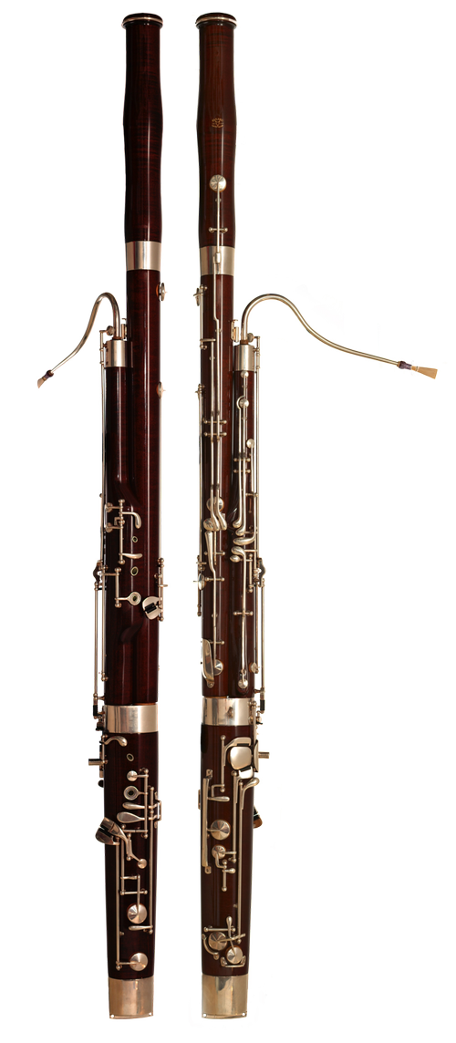 Who Plays in the Orchestra? — Skagit Symphony