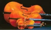 Instruments of the Orchestra — Skagit Symphony