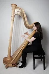 Who Plays in the Orchestra? — Skagit Symphony