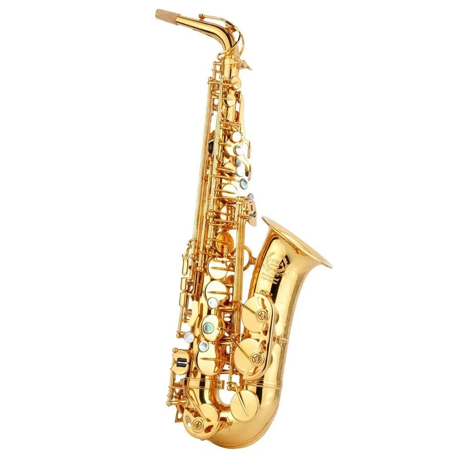 Who Plays in the Orchestra? — Skagit Symphony