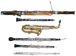 Instruments of the Orchestra — Skagit Symphony