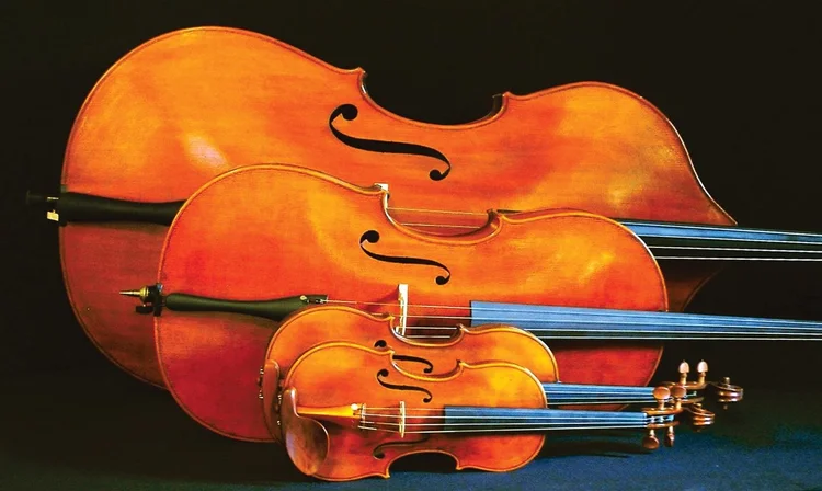 Who Plays in the Orchestra? — Skagit Symphony