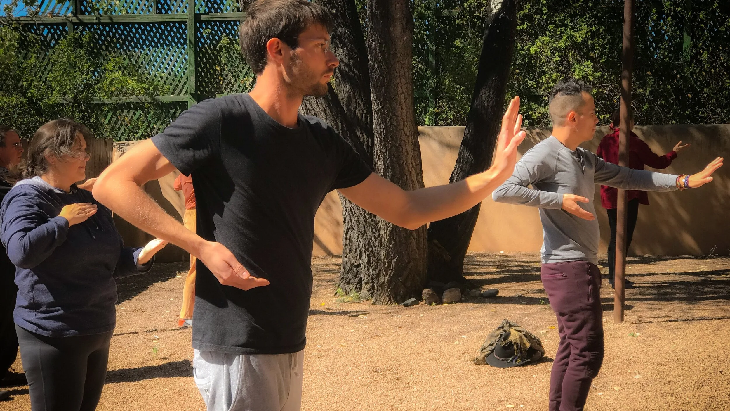 Medical Qigong Training — Red Thread Institute