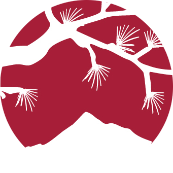 About Red Thread & The Vision — Red Thread Qigong Institute