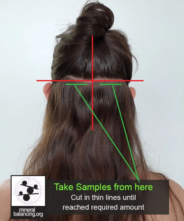 How to Cut a Hair Mineral Sample in 4 Easy Steps — Mineral Balancing