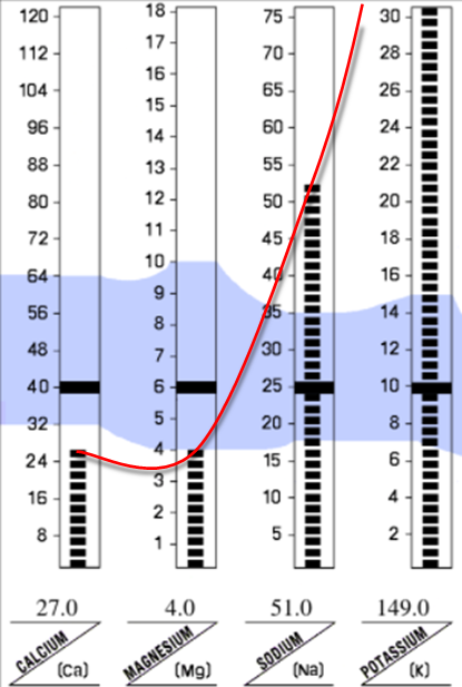 Bowl Patterns — Mineral Balancing