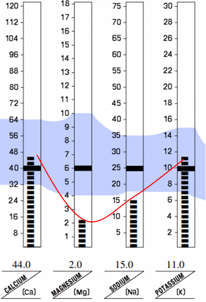 Bowl Patterns — Mineral Balancing