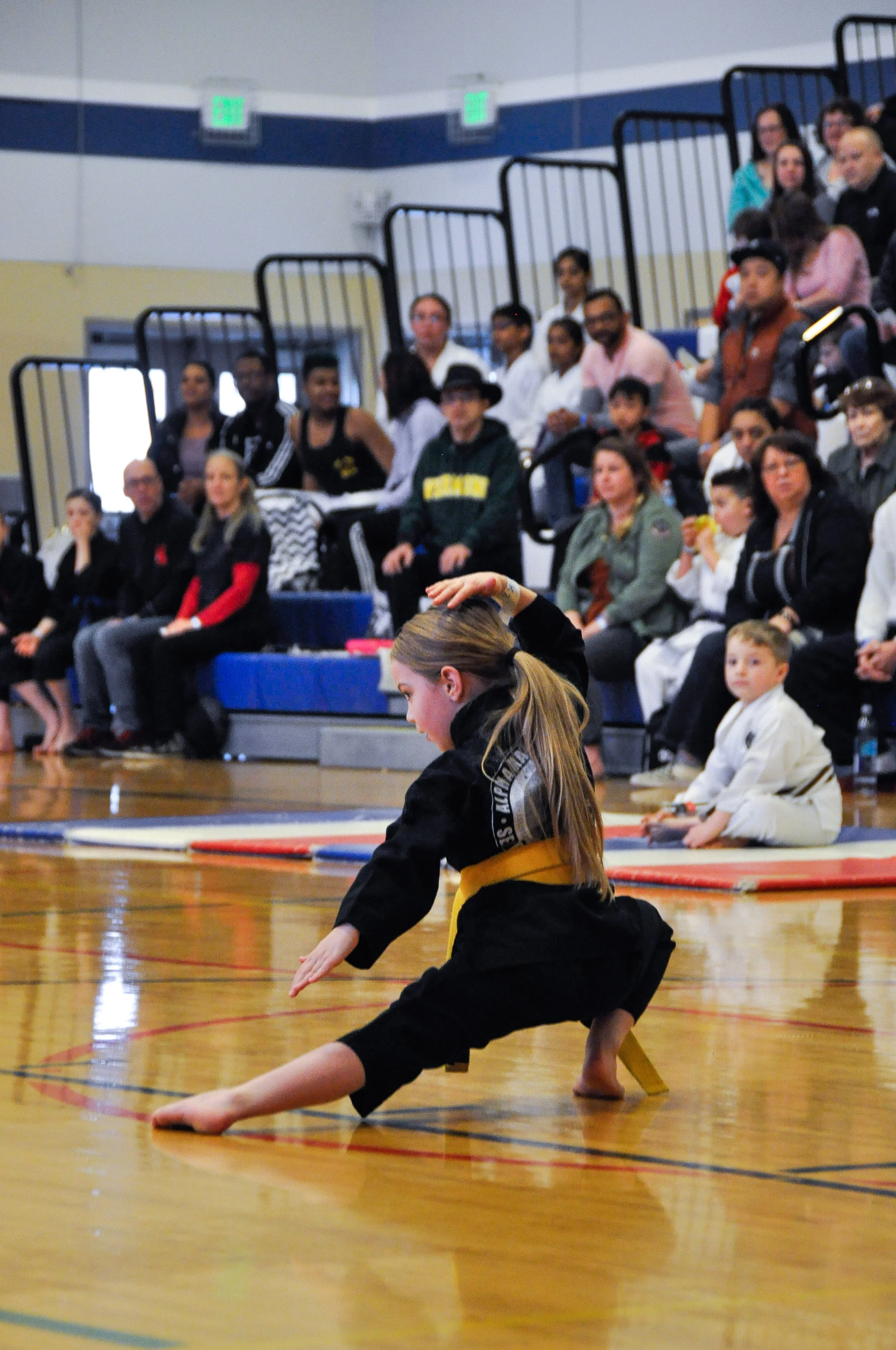 2024 Steve Armstrong Memorial Open: Martial Arts Tournament & Seminars ...