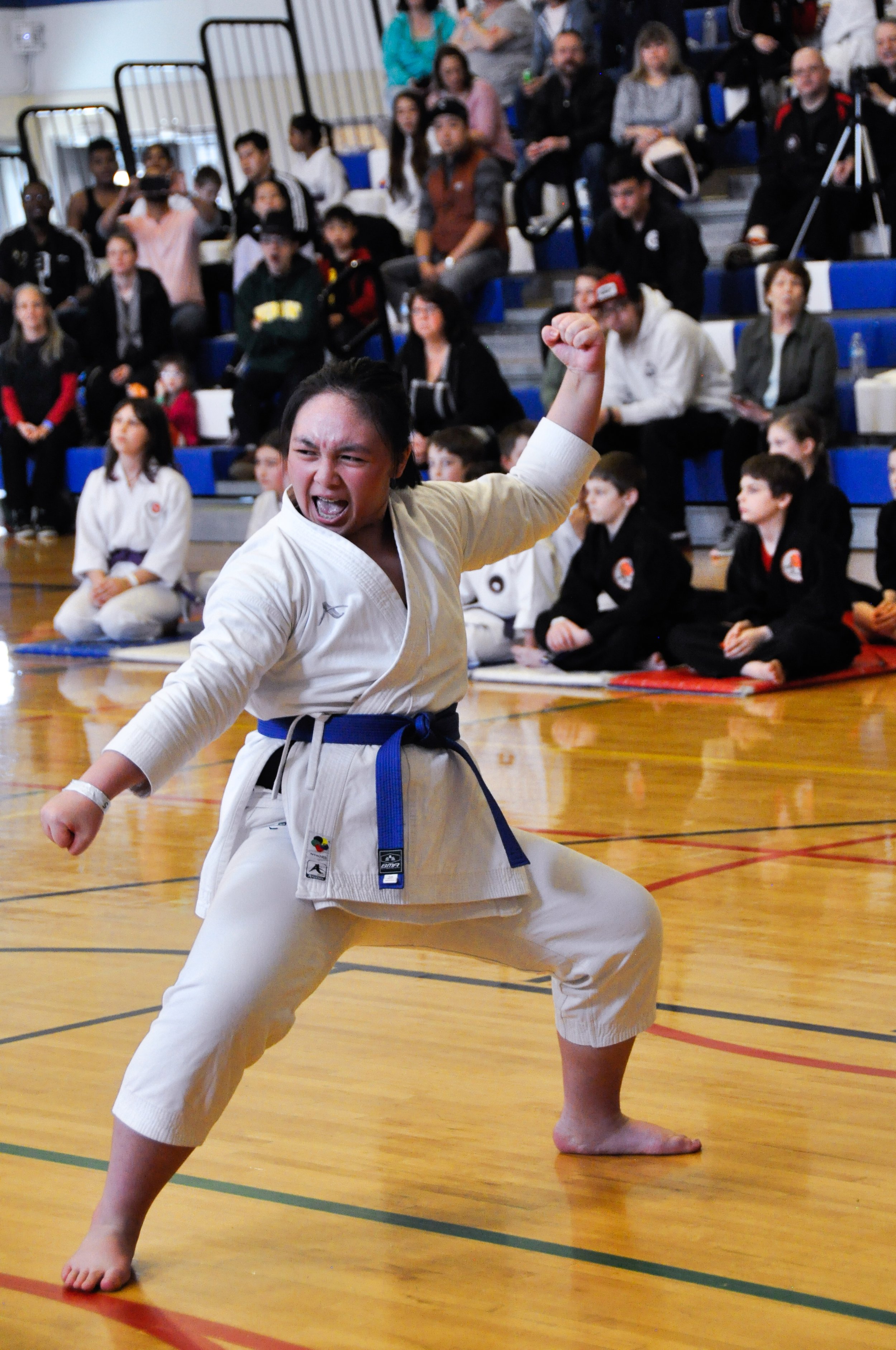 2023 Steve Armstrong Memorial Open: Martial Arts Tournament & Seminars ...