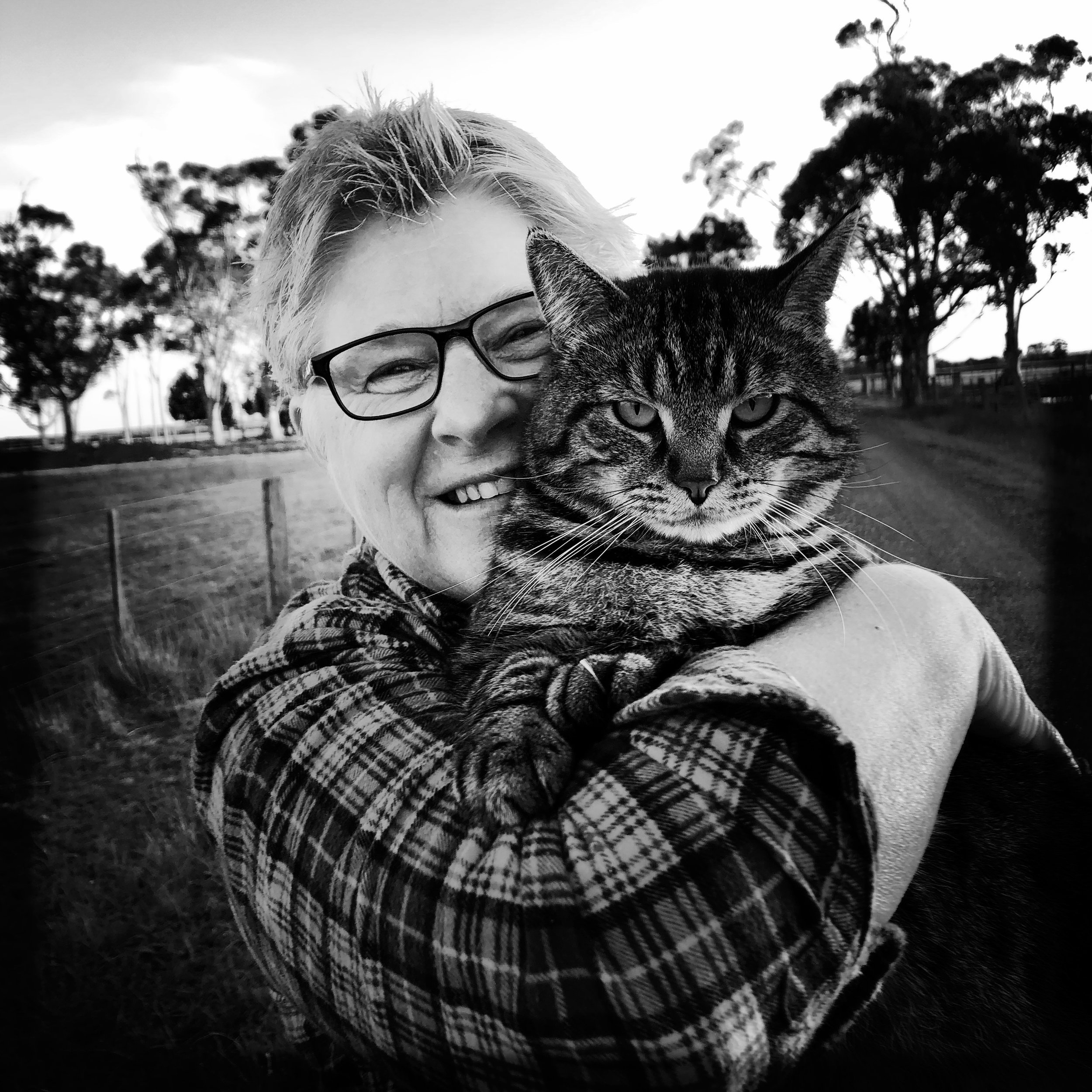 Kerryn Vaughan - Celebrating our differences with DISC — Kerryn Vaughan Kerryn Vaughan - Celebrating our differences with DISC — Kerryn Vaughan