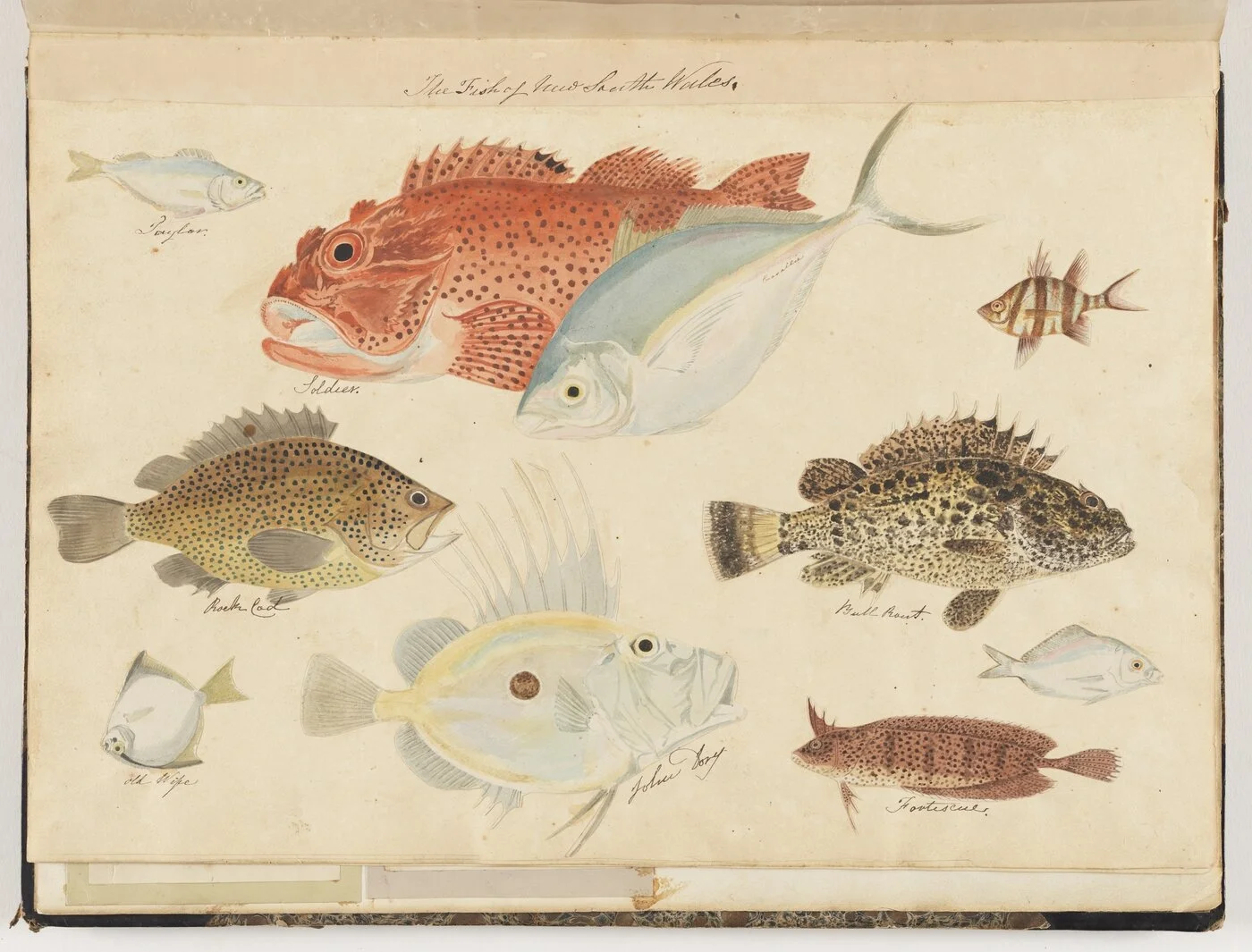 NAIDOC WEEK 2020 | Extent Heritage