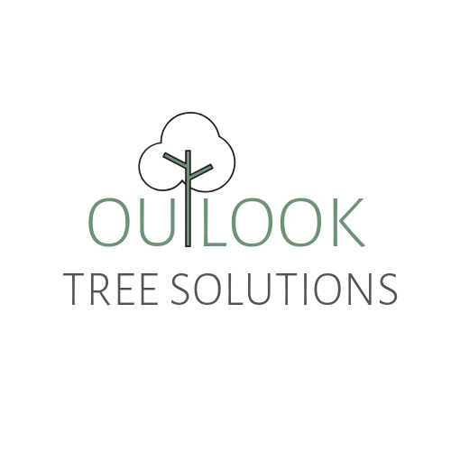 Outlook Tree Solutions