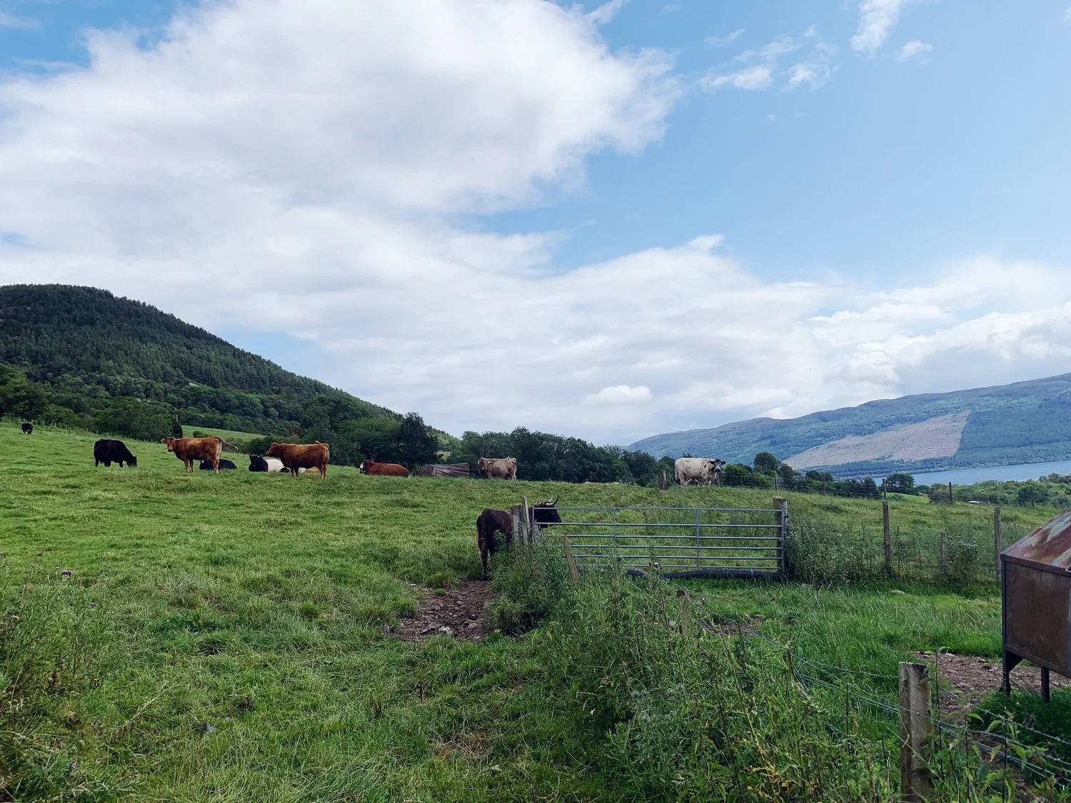 family — Drumbuie Farm
