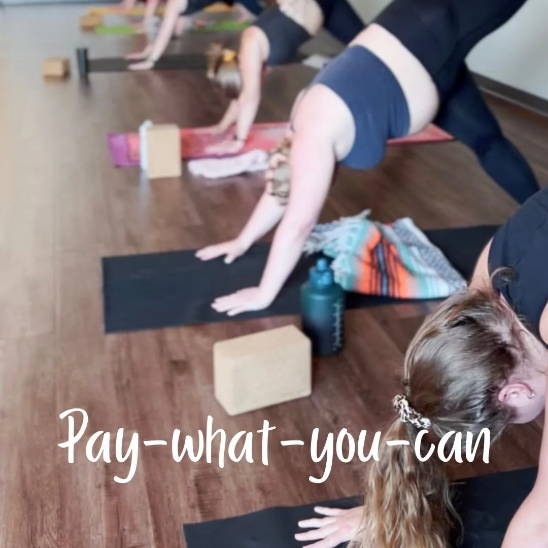 PALM + PINE Yoga Studio + School