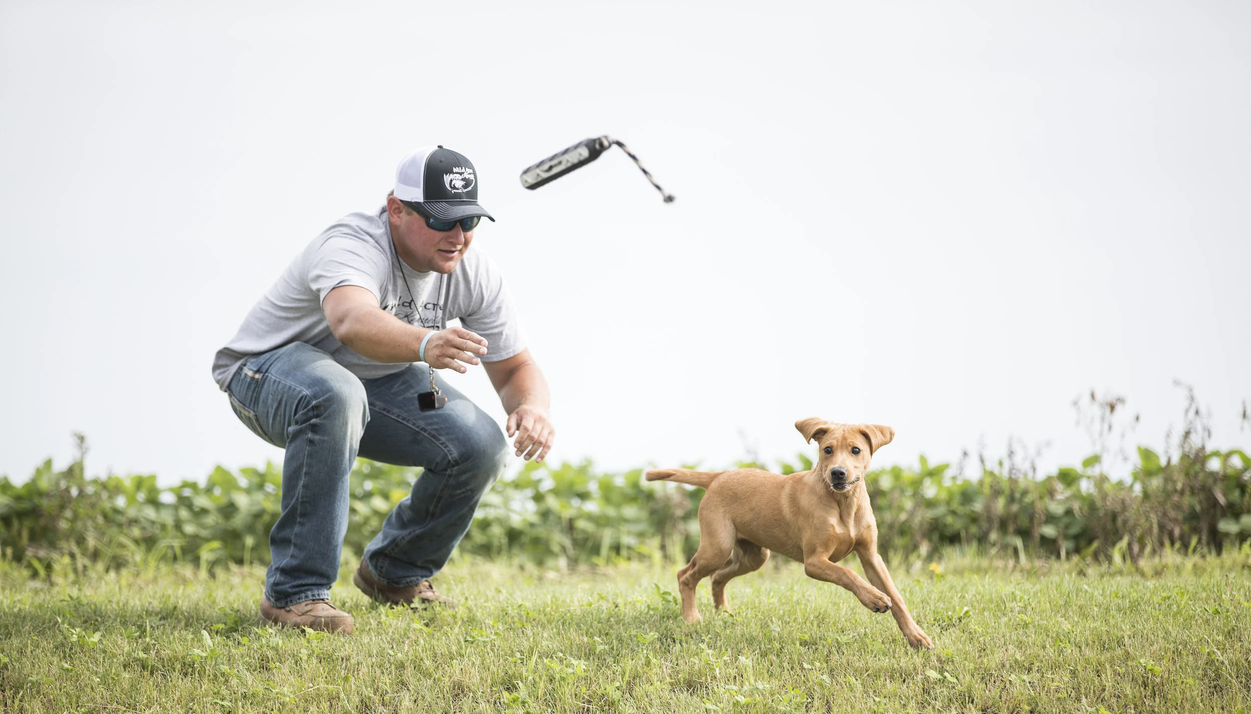 About Wild Acre Kennels — Wild Acre Kennels