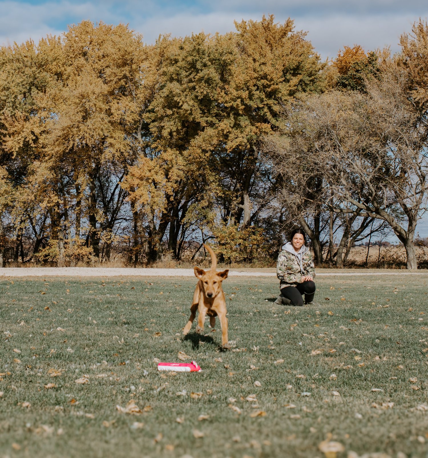 Puppy to Pro: How to Train Your Bird Dog from Day One — Wild Acre Kennels