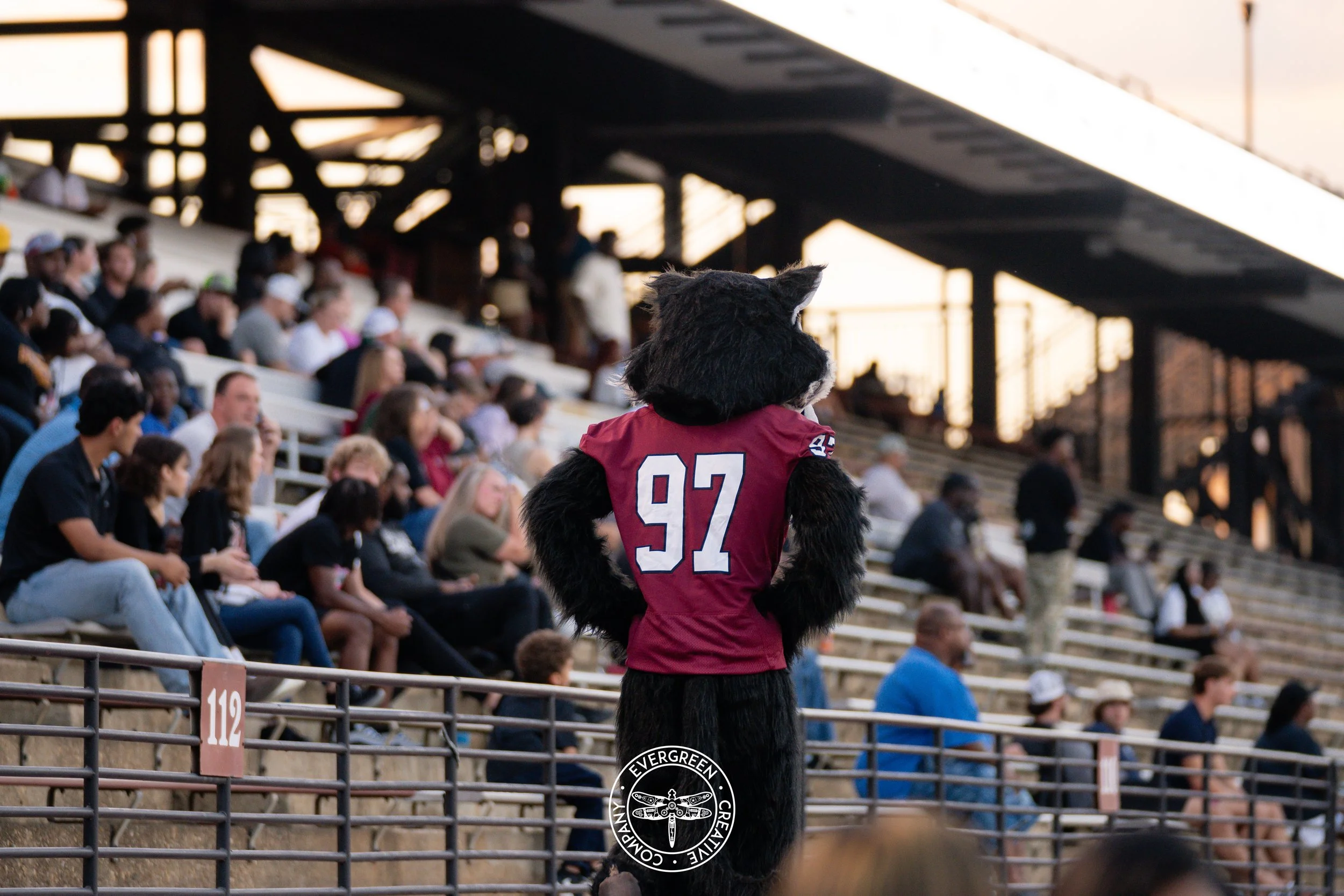 Dothan High School Football 2024 Season Photos and Videos — Evergreen ...