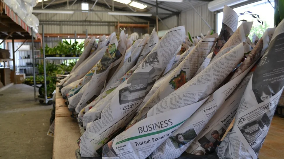 Packing & Shipping Your Orchids — Hilo Orchid Farm Hawaii