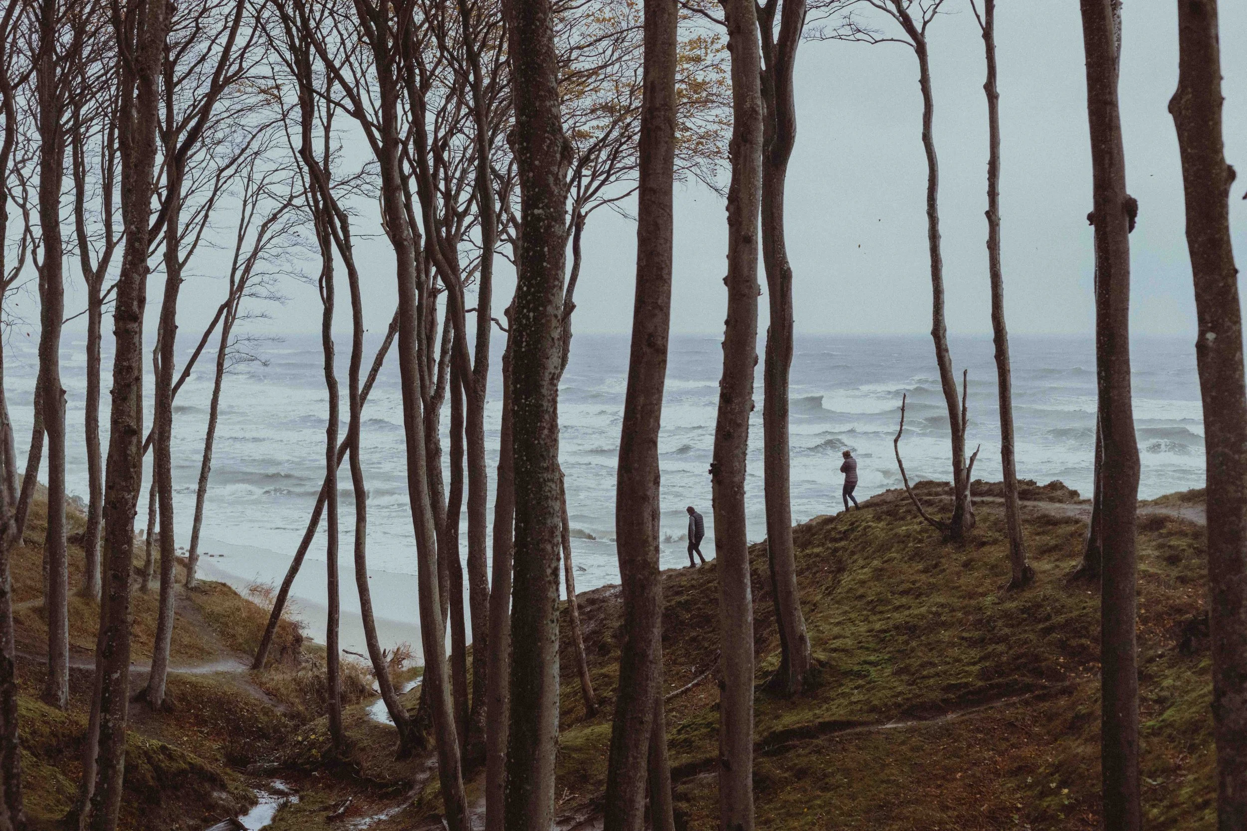 Unmoored — THE YELLOW AFFAIR