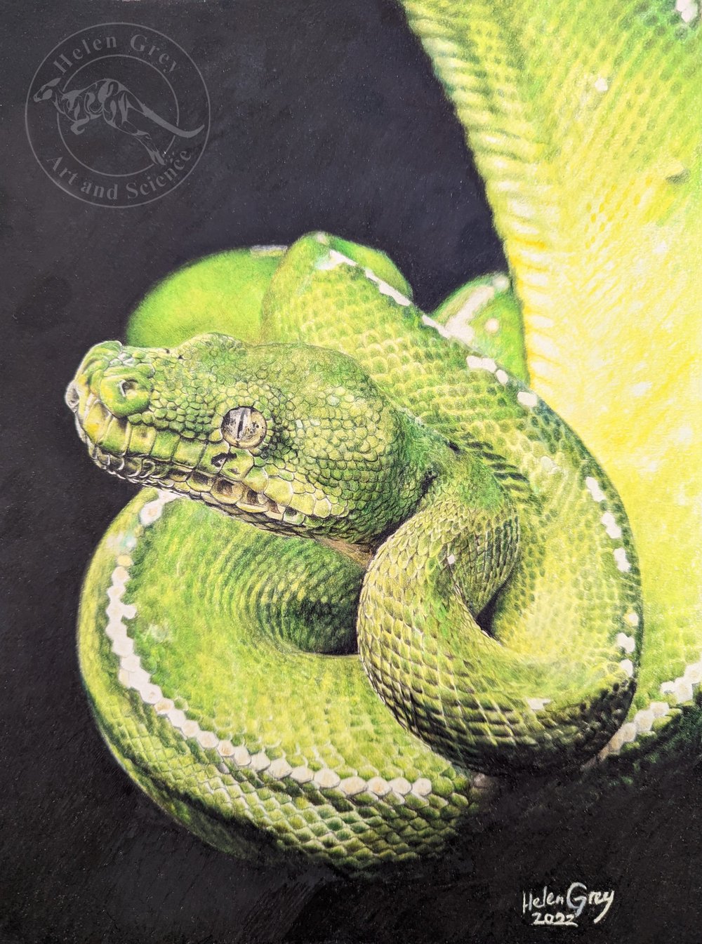 Gallery Home — Helen Grey Art and Science