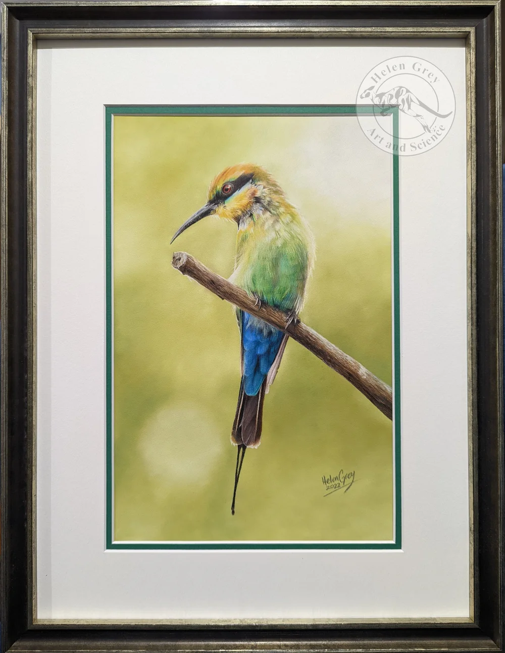 Gallery Home — Helen Grey Art and Science