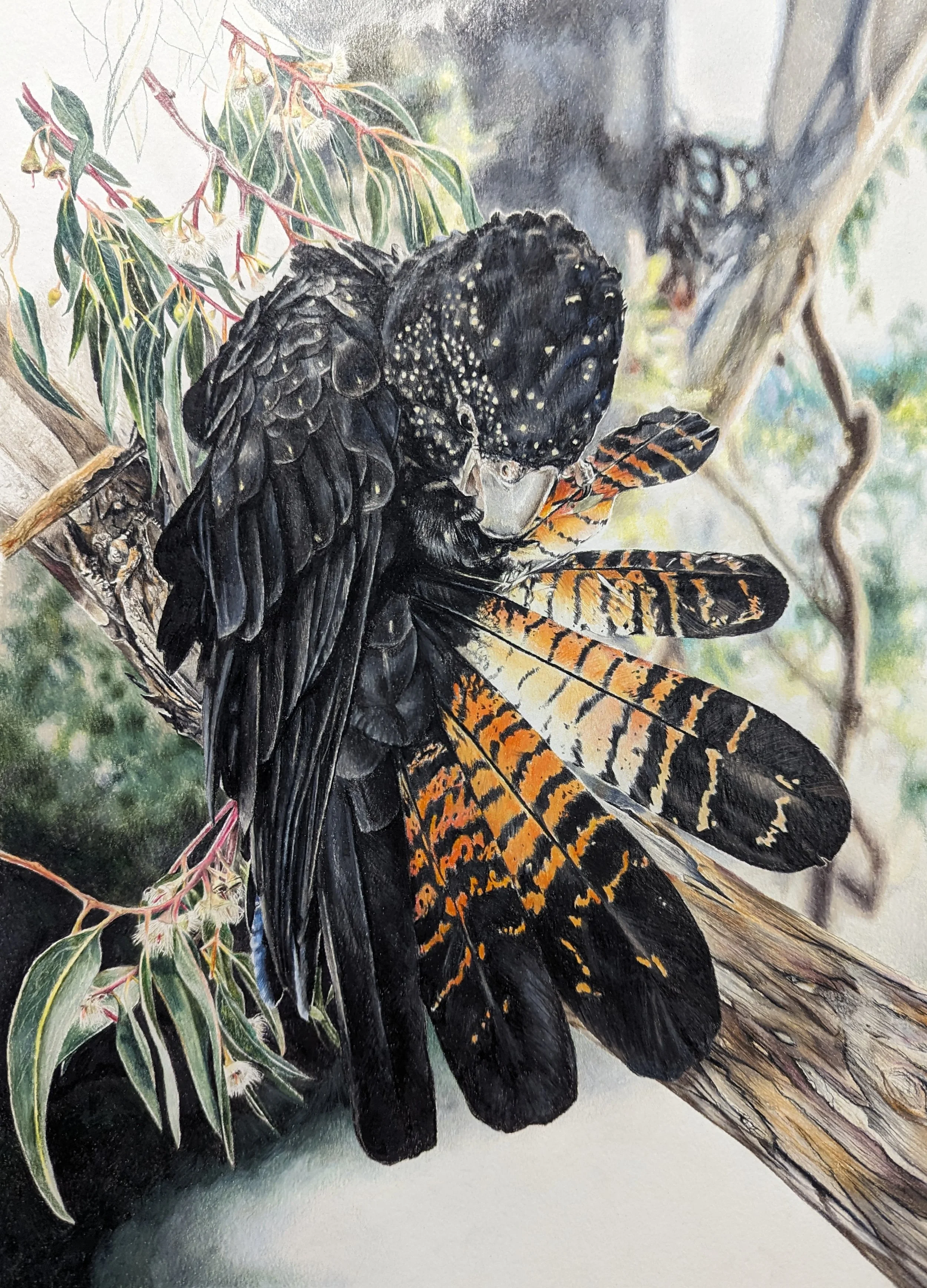 Helen Grey Art and Science