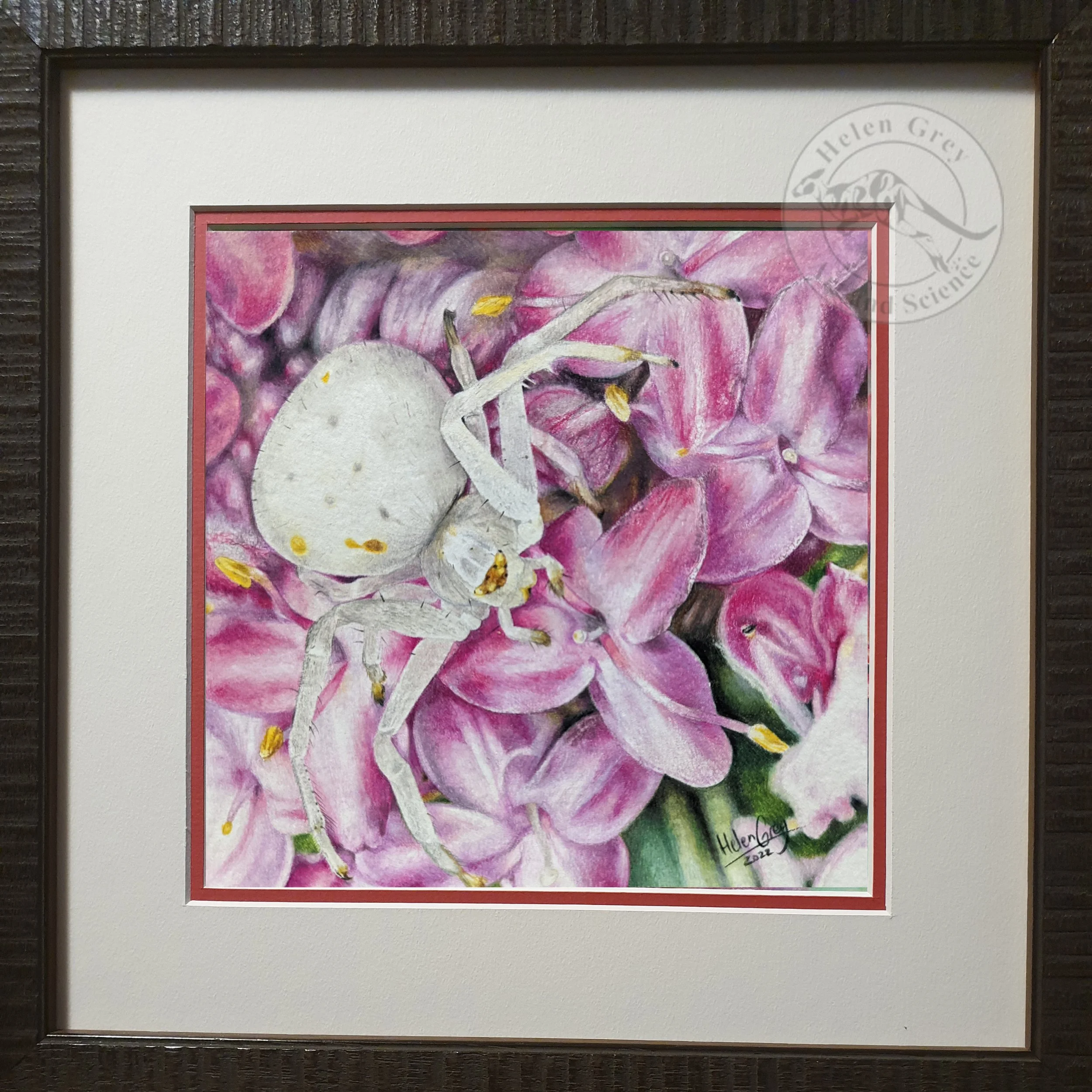 Gallery Home — Helen Grey Art and Science
