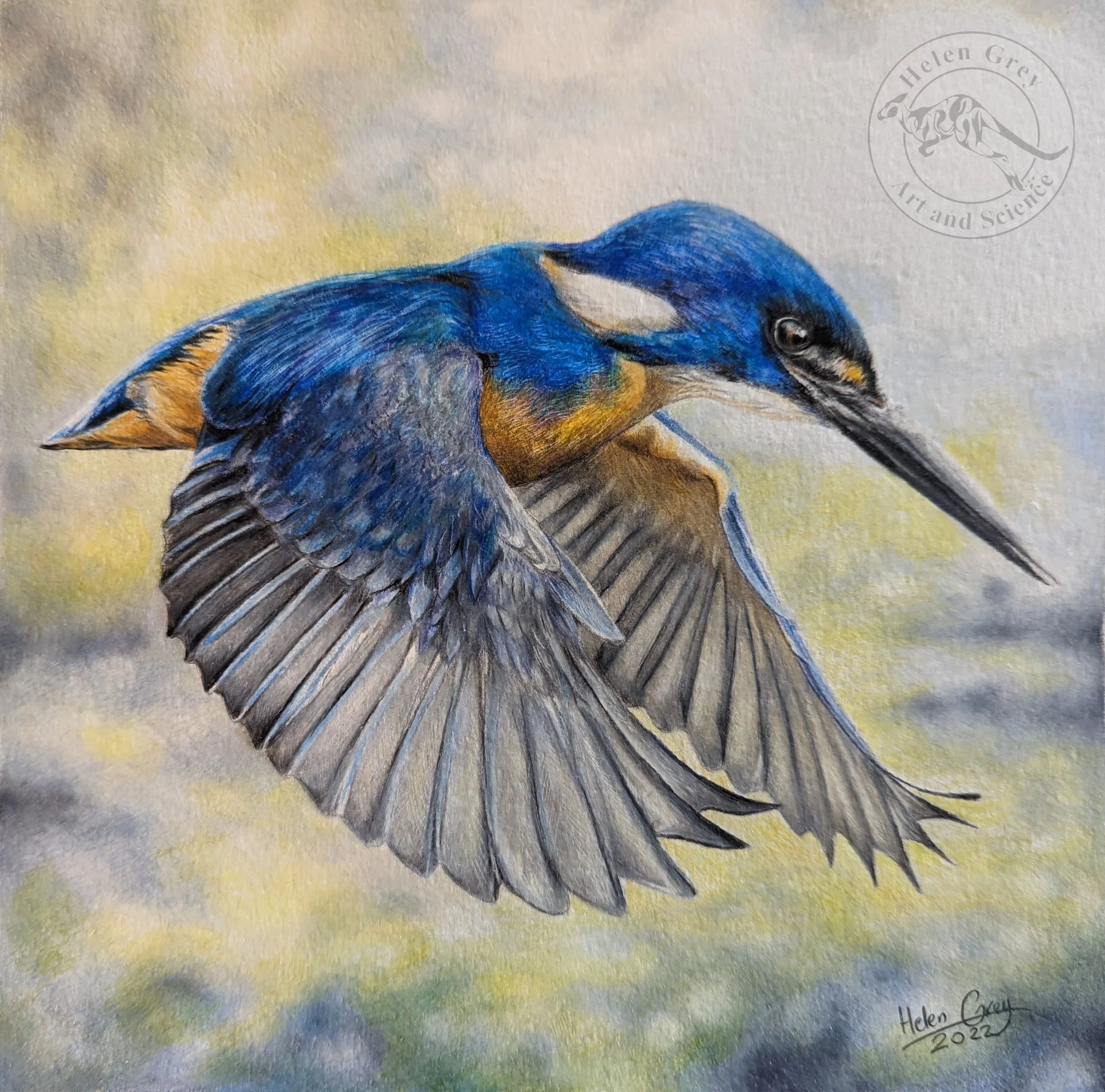 Gallery Home — Helen Grey Art and Science