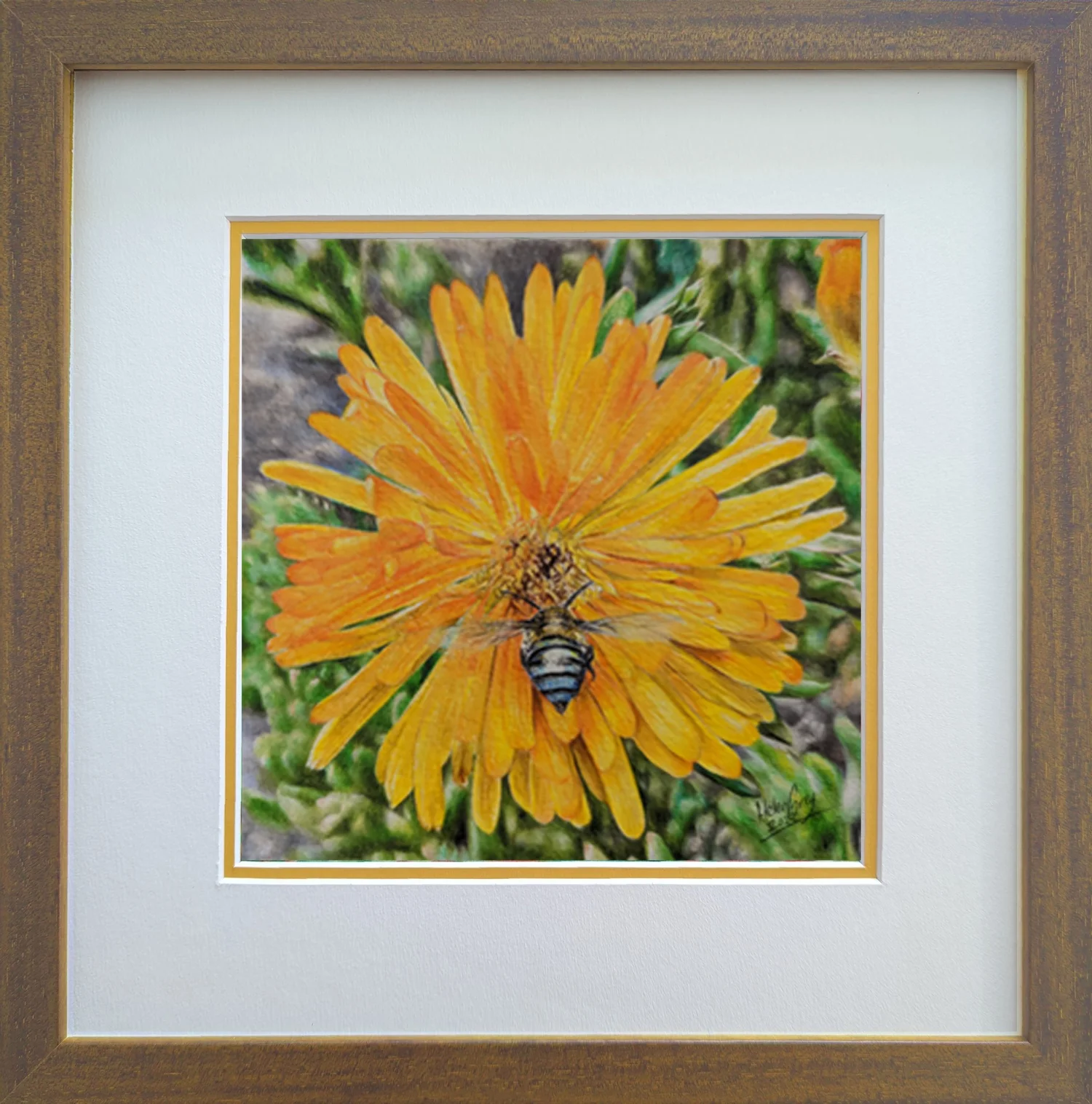 Gallery Home — Helen Grey Art and Science