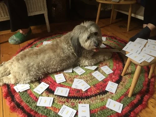 Training & practice — Empathy Matters