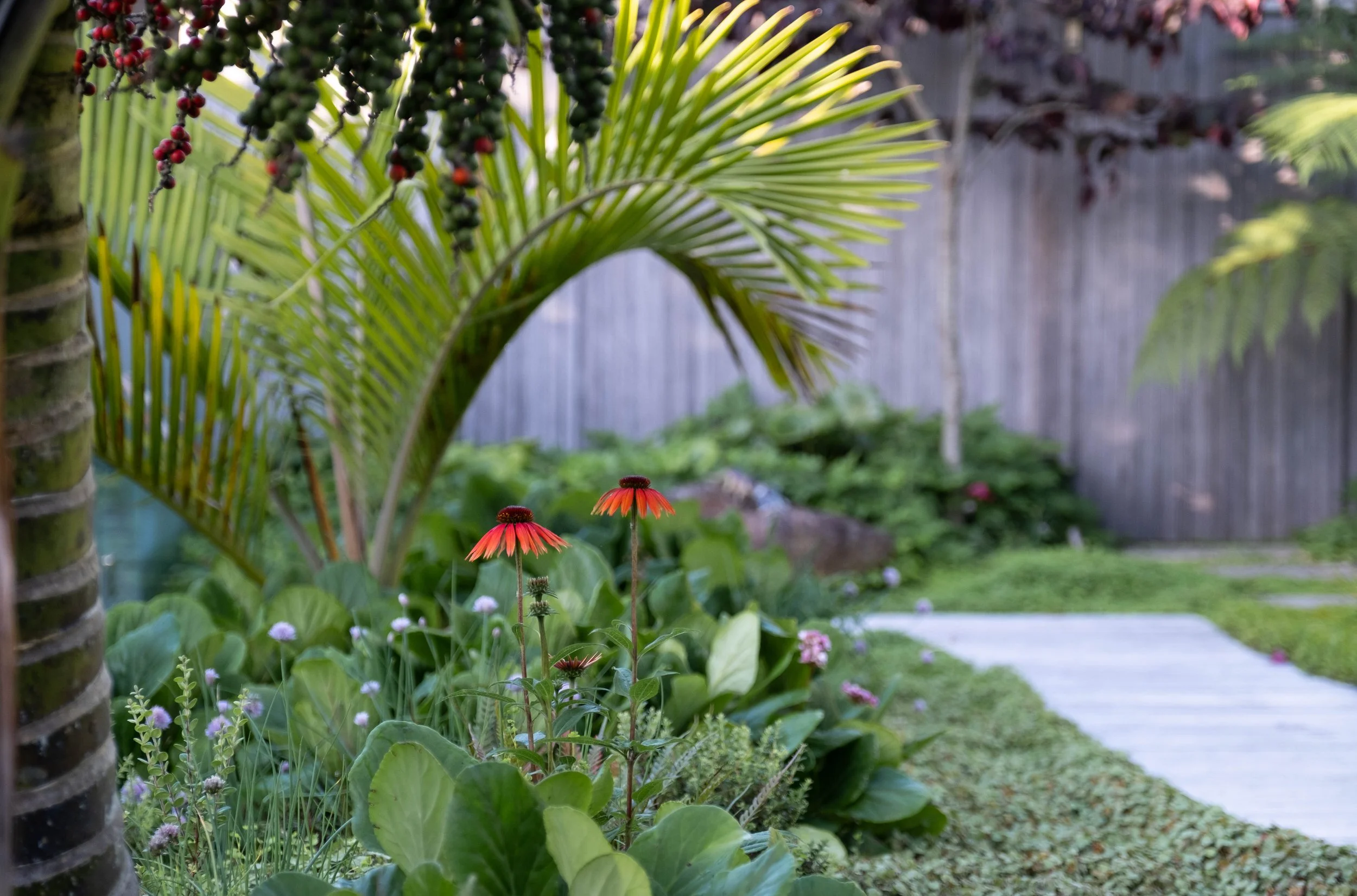 Gallery — Neville Design Studio