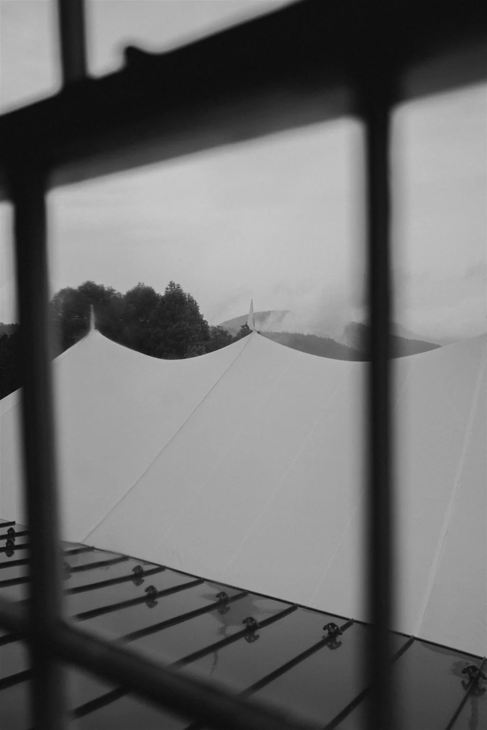 Maggie Braucher Photography