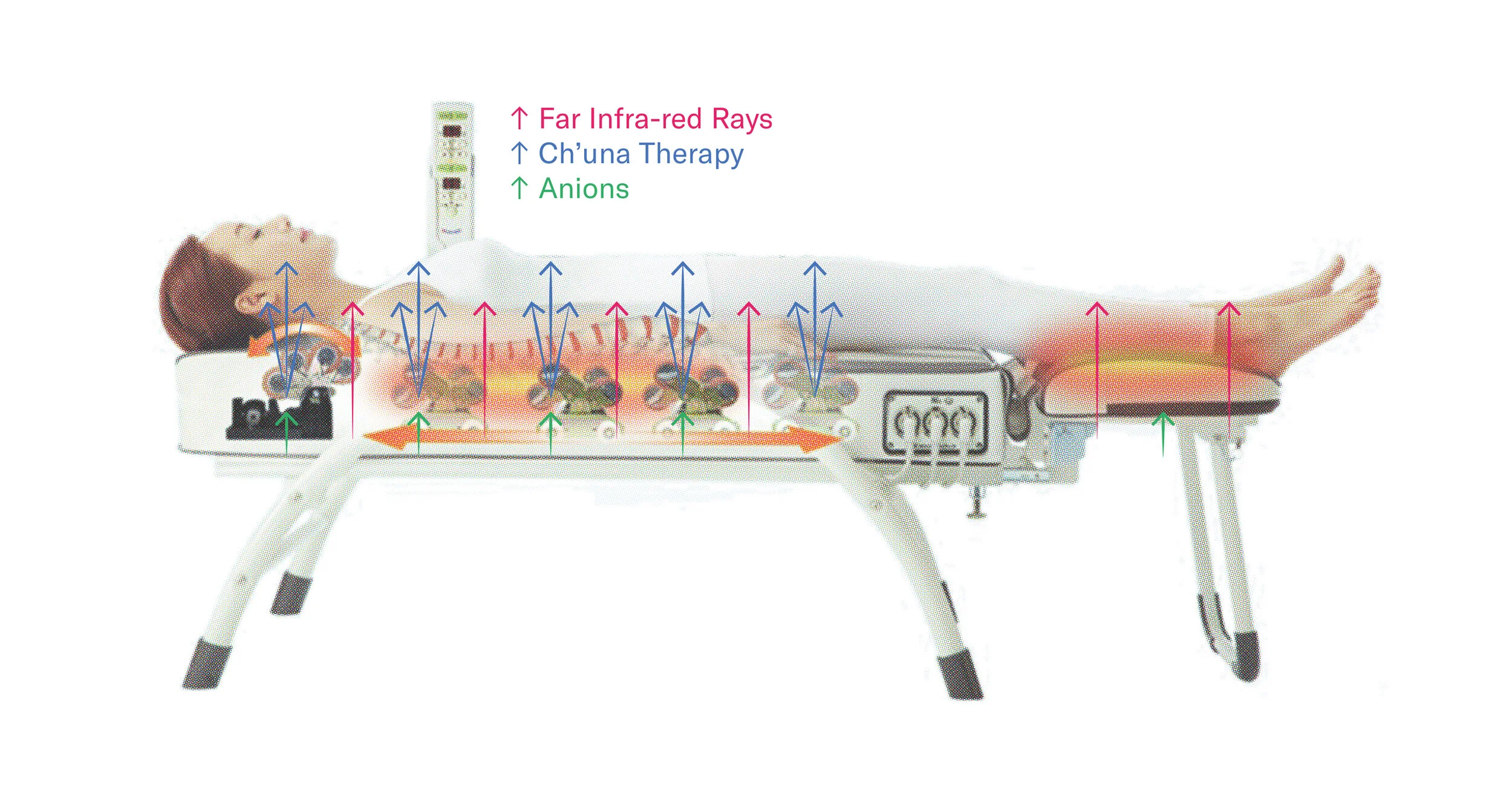 Therapy Principles — NUGA BEST UK & IRELAND