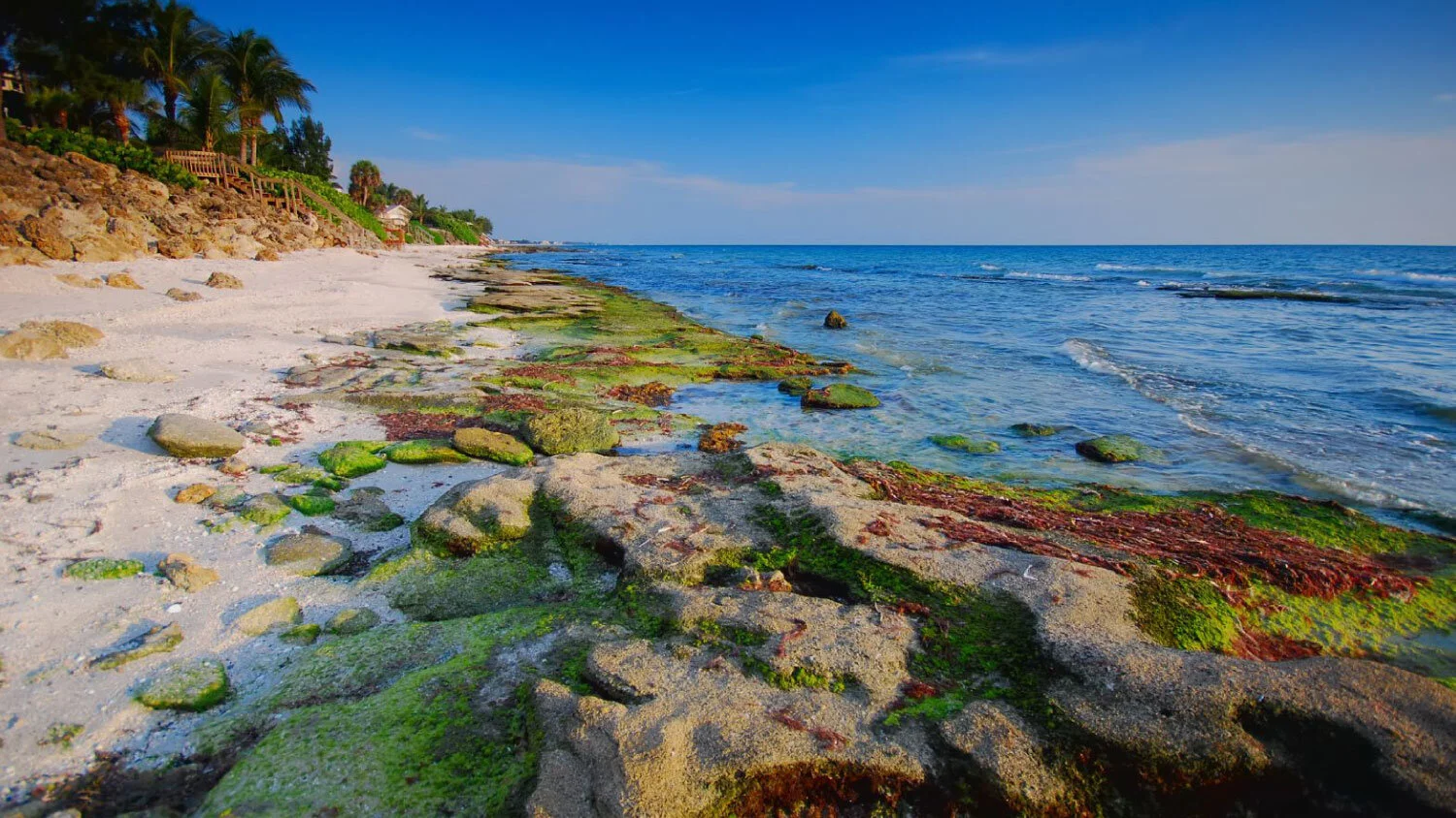 Ultimate Guide to Sarasota Beaches — Burns Square Vacation Rentals