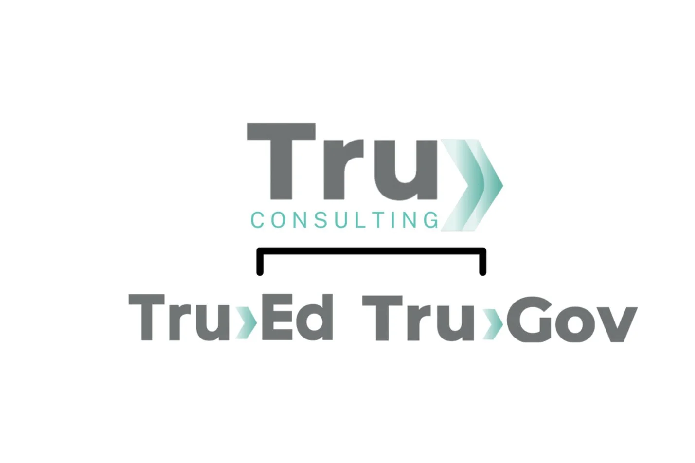 TruEd Consulting Announces Strategic Launch of TruGov — Tru Ed ...