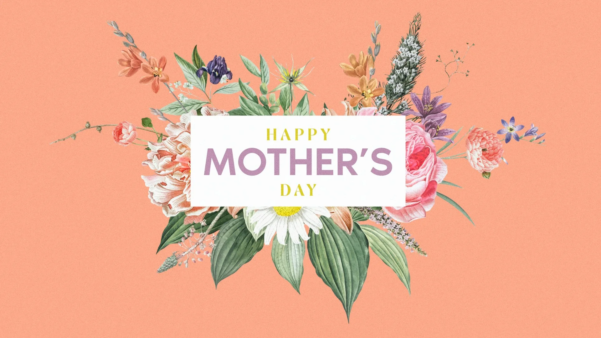 Messages — The Parks Church