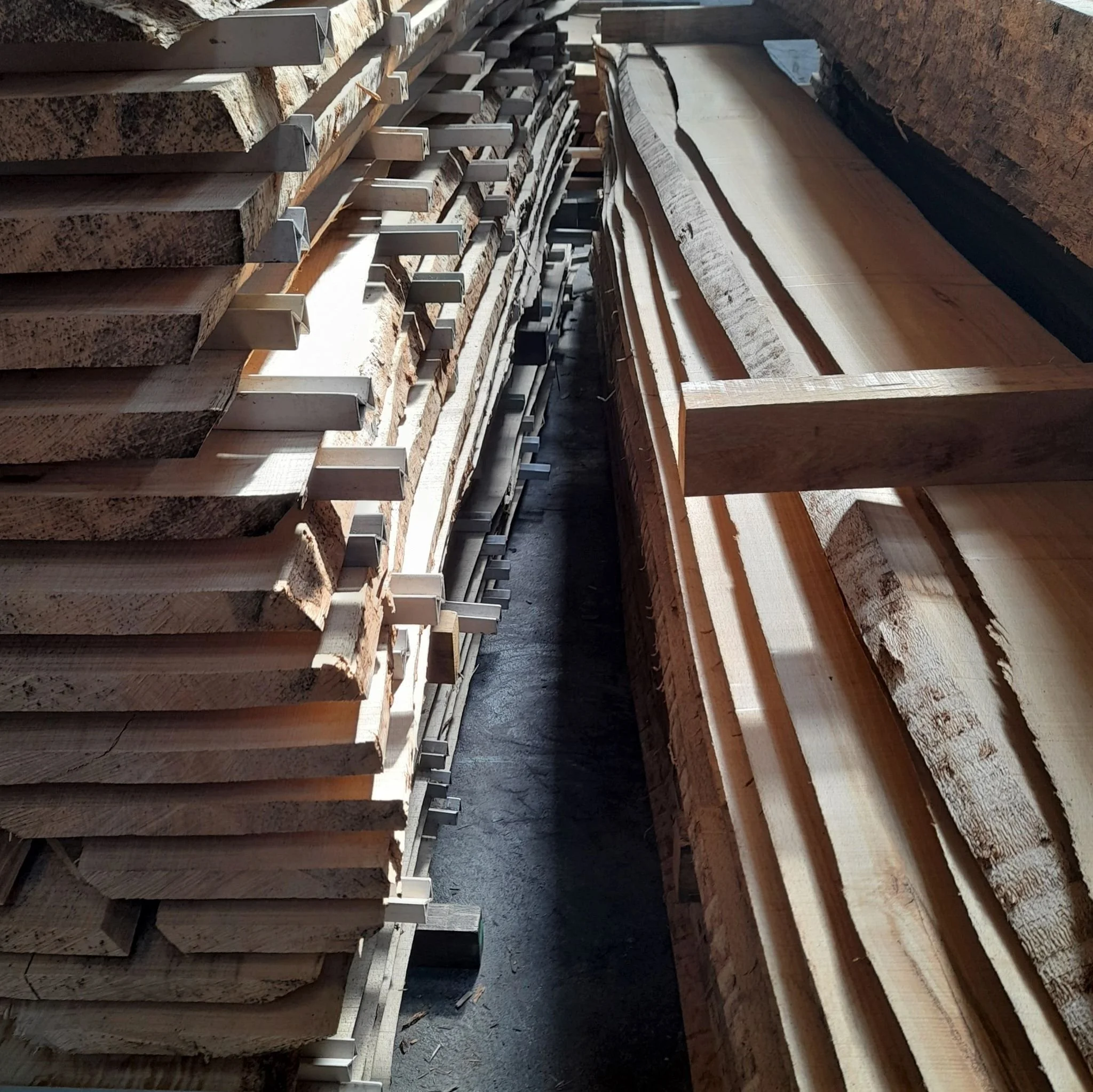 Wood — Desmond Corcoran
