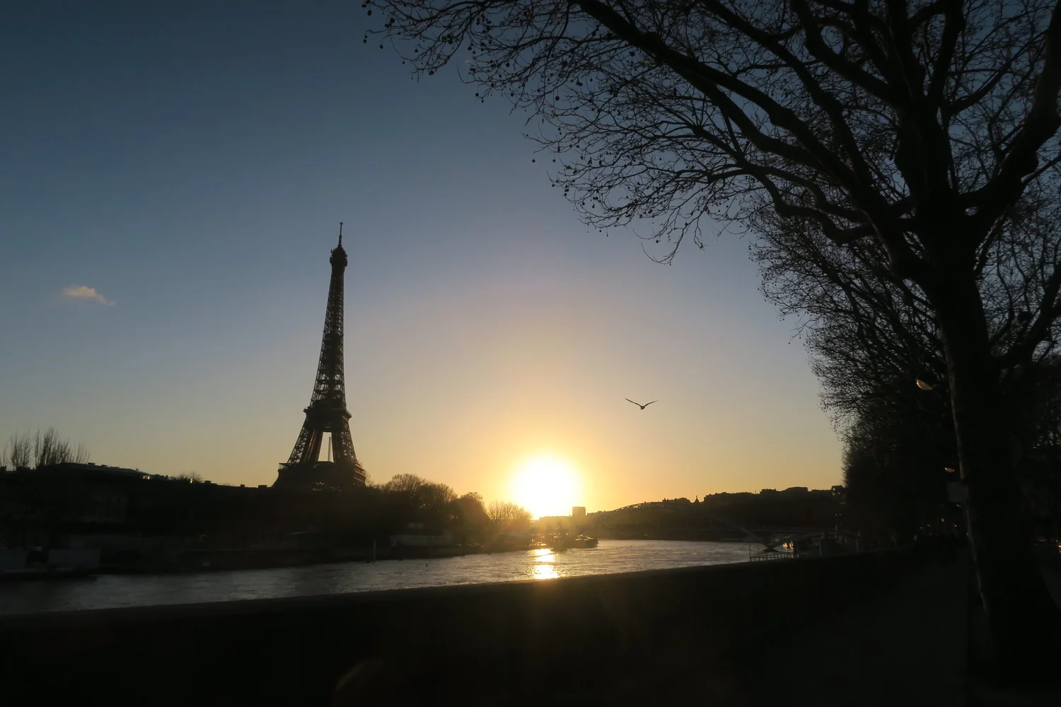 New York City vs. Paris: Which City Is Better? — Destination Dreamer ...