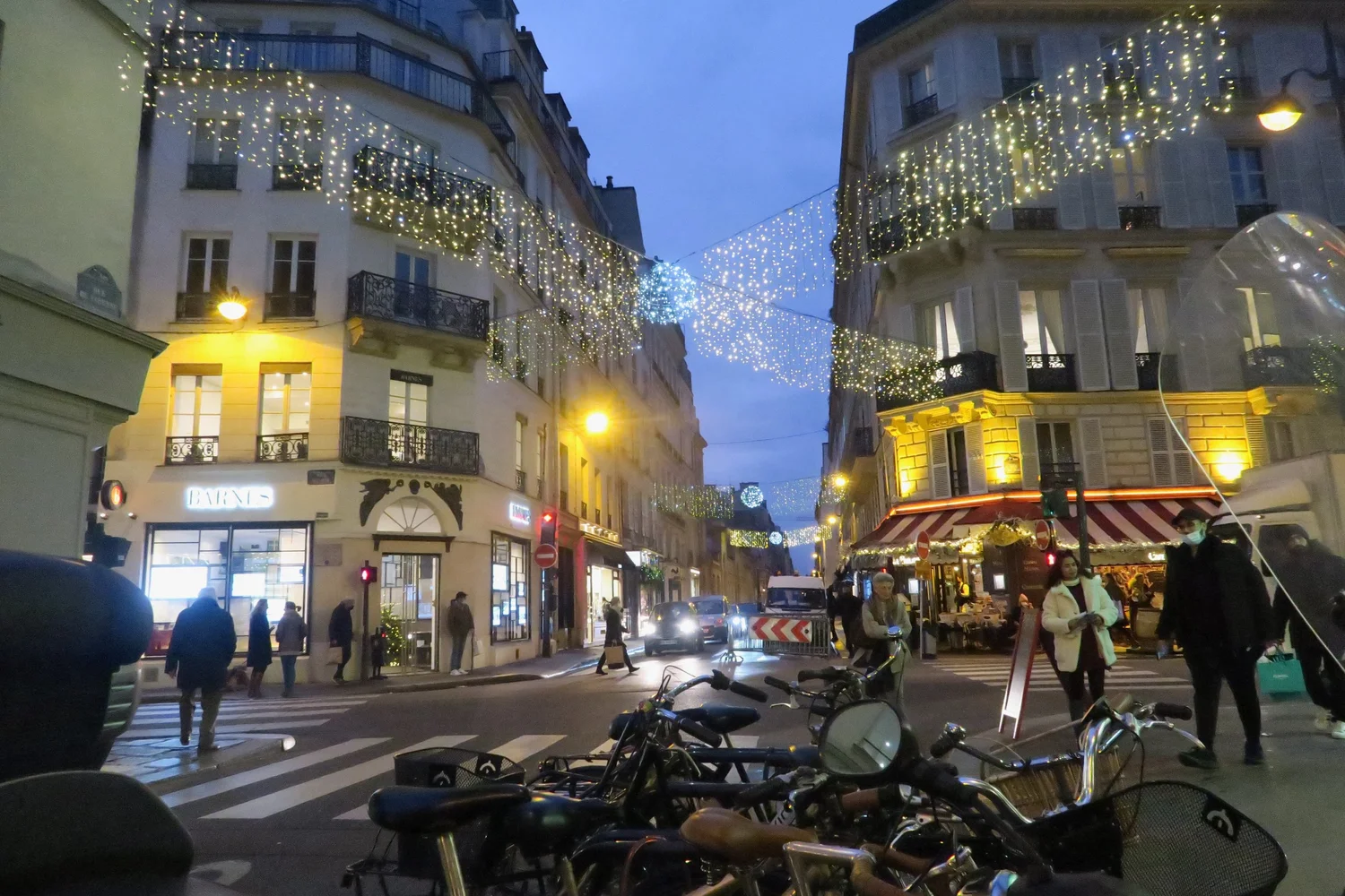 15 Best Things to Do in Paris During Christmas — Destination Dreamer ...
