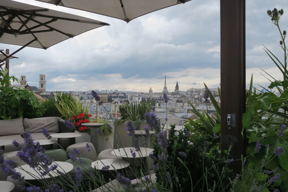 New York City vs. Paris: Which City Is Better? — Destination Dreamer ...
