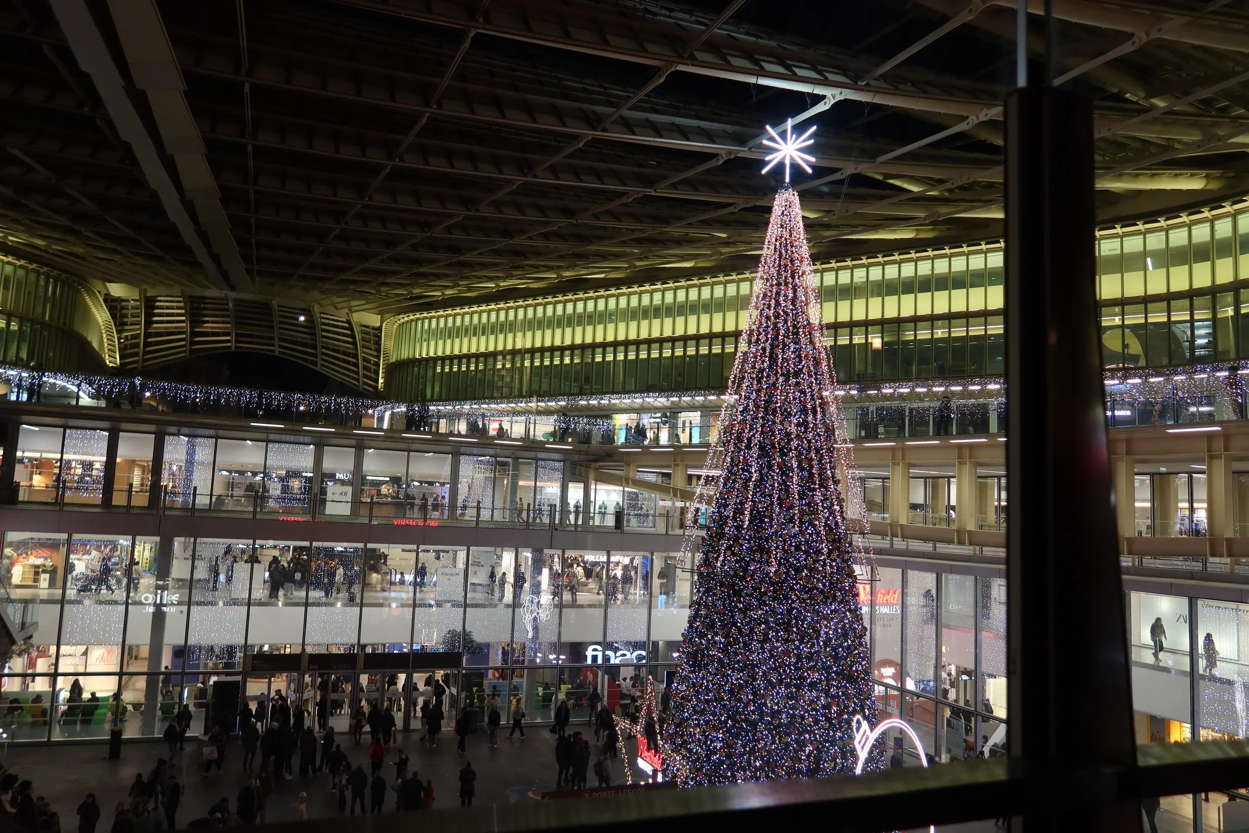 15 Best Things to Do in Paris During Christmas — Destination Dreamer ...