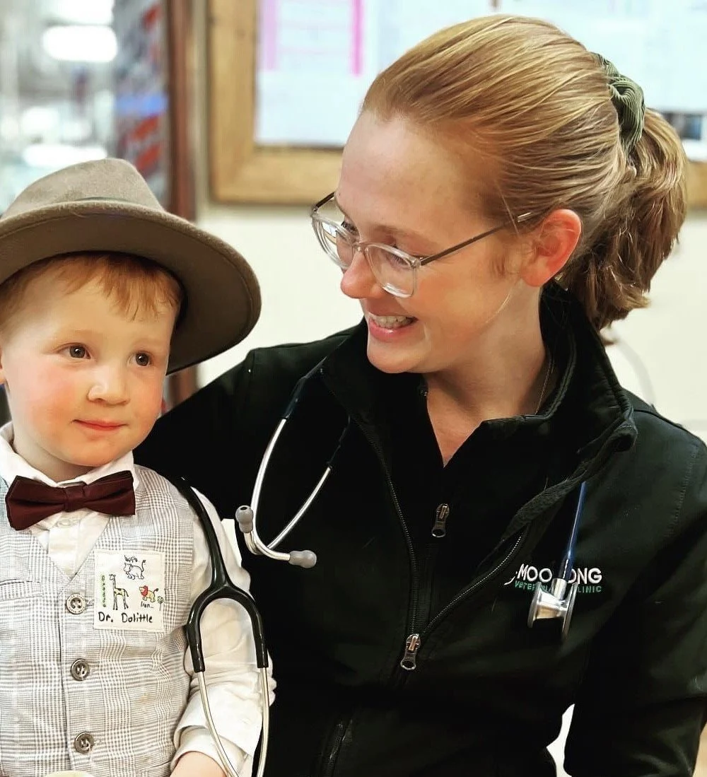 About Us — Moorong Veterinary Clinic Wagga Wagga