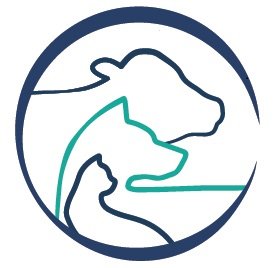 Dr. Anneliese Geard — Moorong Veterinary Clinic Wagga Wagga