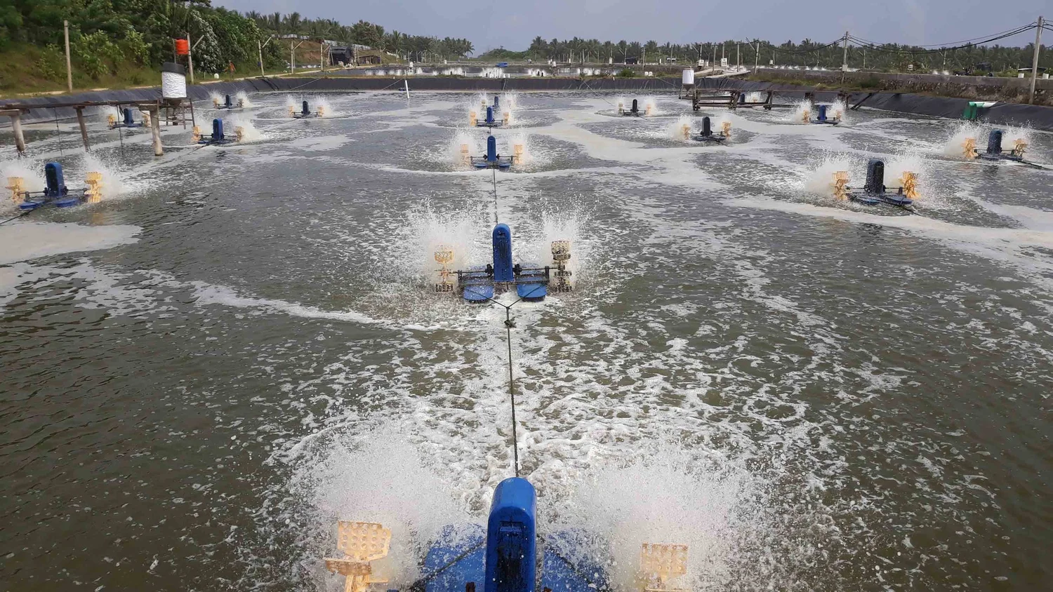 Aeration - Paddle Wheel Aerators — HATCH global shrimp report