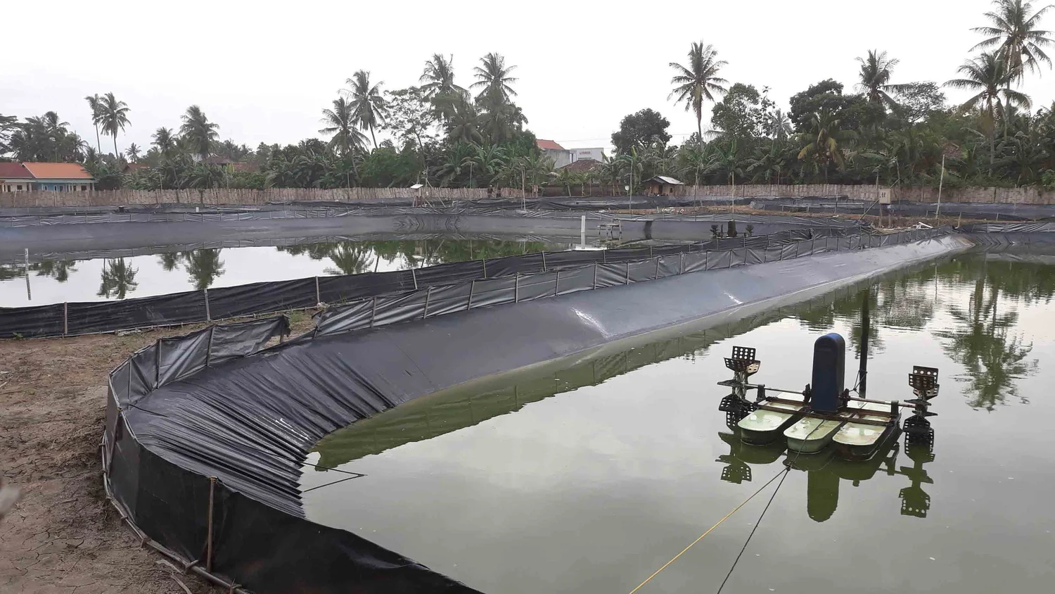 Biosecurity - Barriers against animals and people — HATCH global shrimp ...