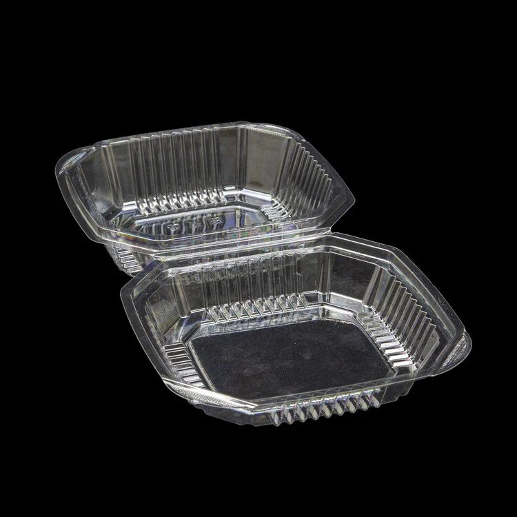 Rectangular plastic container - BOX-OPS-L8 - Food Boxes | SKP PTE LTD ...