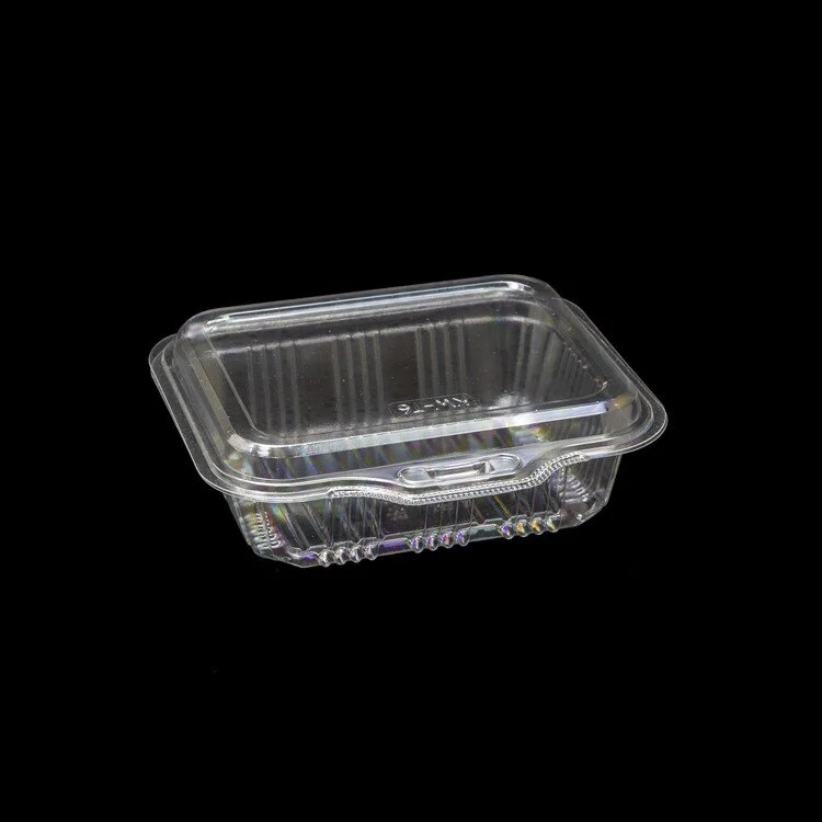 Cake slice container - BOX-PET-K309 - Food Boxes | SKP PTE LTD ...