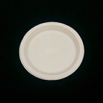 Biodegradable, Eco-Friendly Paper & Plastic Plates In SG — Celebrating ...